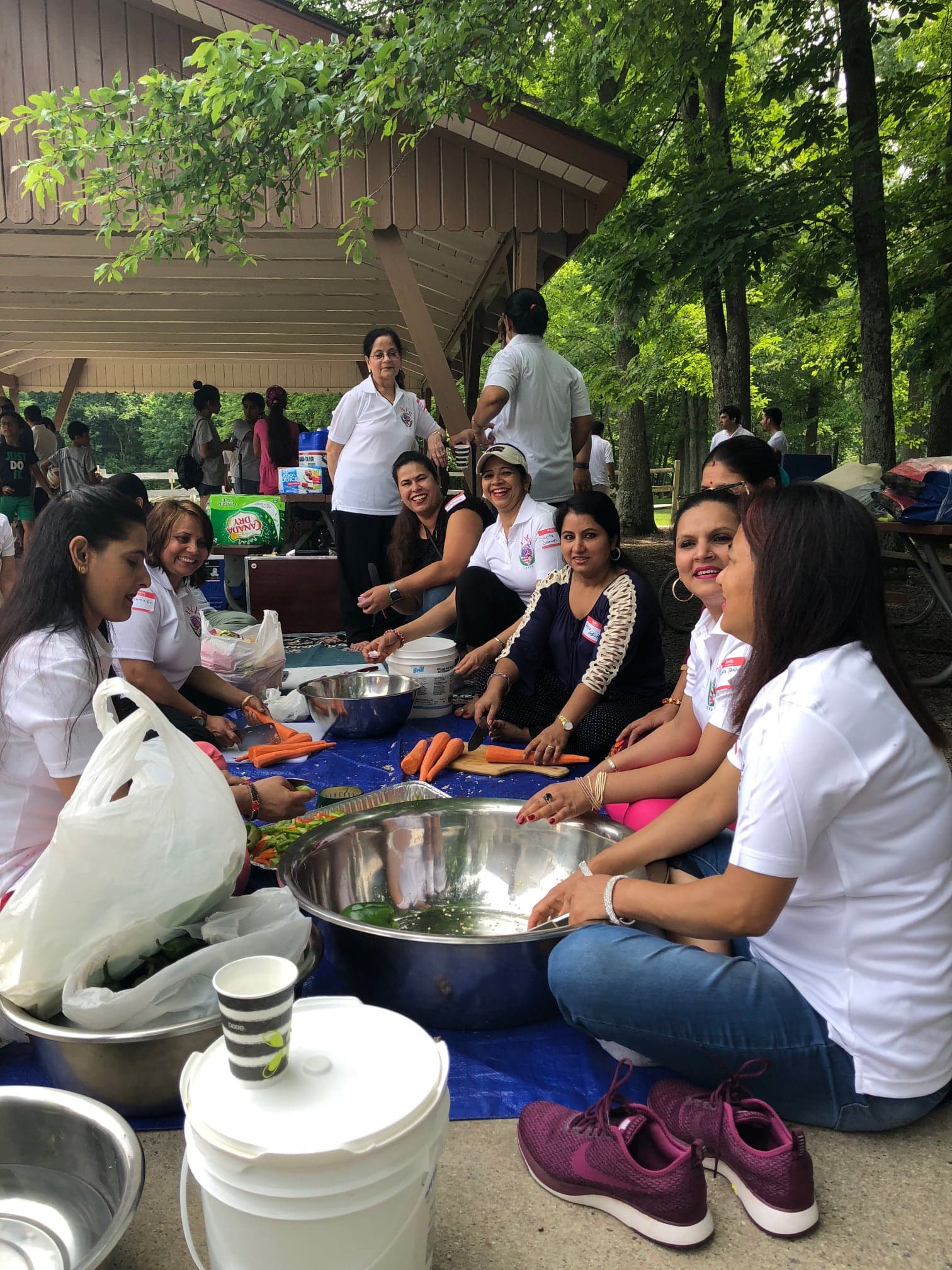 Picnic Carnival – America Nepal Helping Society (ANHS)